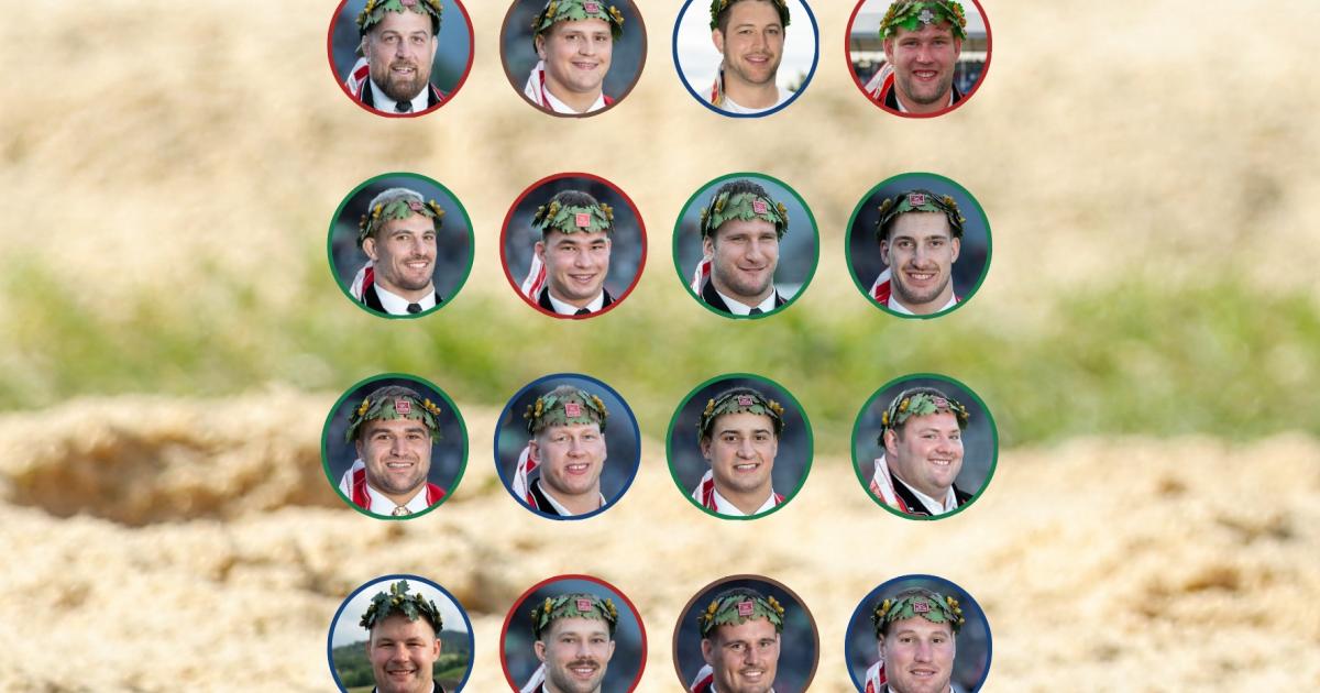 SCHWINGER DER JAHRES 2025: Wer soll Schwinger des Jahres 2025 werden ...